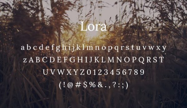 20+ Best Free Serif Fonts for Designers in 2025 - Super Dev Resources