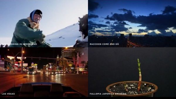 14 Free Stock Footage Sites to Download Videos Without Watermark ...