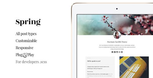 25 Best Tumblr Themes for Photographers & Photobloggers - Super Dev ...