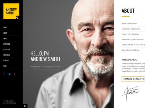 30+ Professional HTML & CSS Resume Templates for Free Download (and ...
