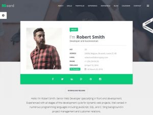 30+ Professional HTML & CSS Resume Templates for Free Download (and ...