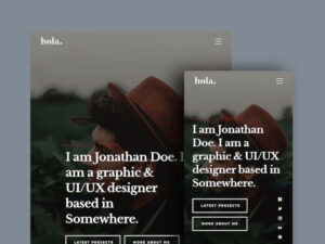 30+ Professional HTML & CSS Resume Templates for Free Download (and ...