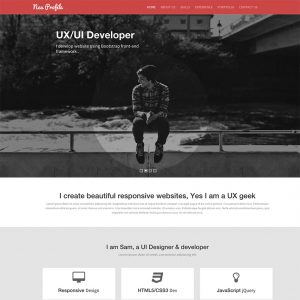 30+ Professional HTML & CSS Resume Templates for Free Download (and ...