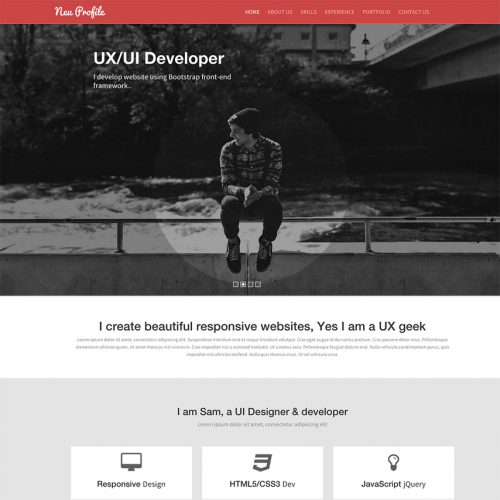 30+ Professional HTML & CSS Resume Templates for Free Download (and ...