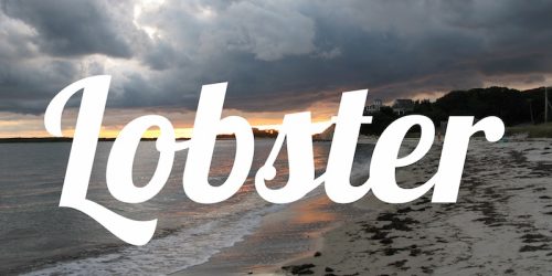 35 Beautiful Script Fonts for Download - Free and Premium - Super Dev ...