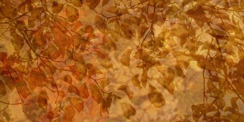 50+ Free Photoshop Texture Packs to Make Your Design Complete - Super ...