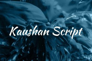 35 Beautiful Script Fonts for Download - Free and Premium - Super Dev ...