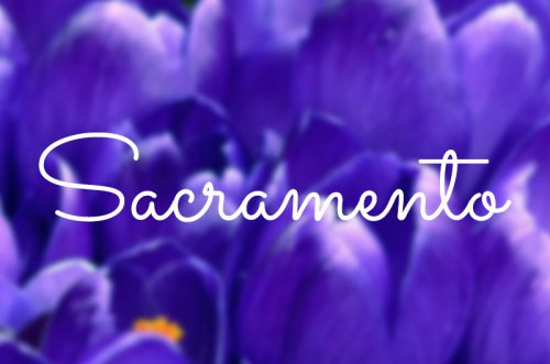 35 Beautiful Script Fonts for Download - Free and Premium - Super Dev ...