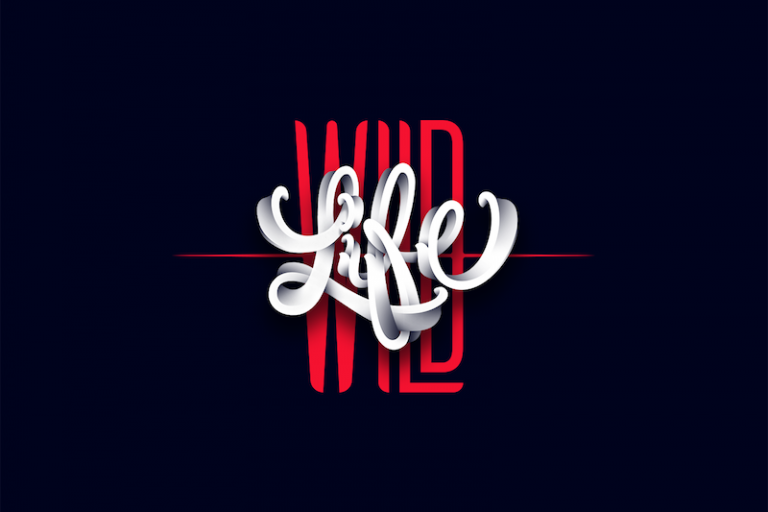 20 Inspiring Lettering and Typography Designs - Super Dev Resources
