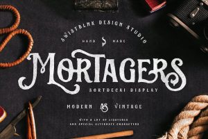 25+ Best Display Fonts for Creating Impactful Designs - Super Dev Resources