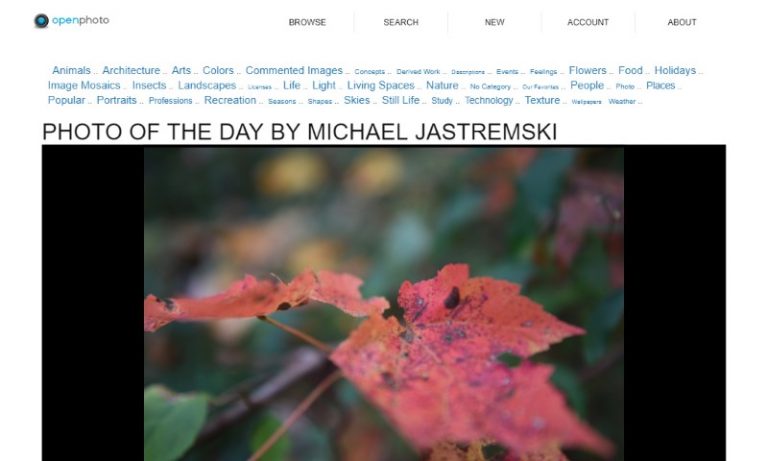 40+ Best Free Stock Photo Sites for Commercial Use Images - Super Dev ...