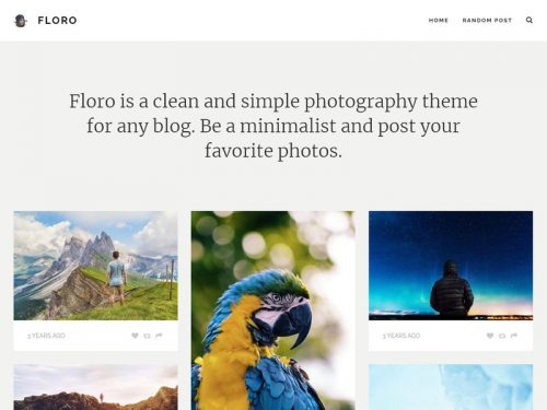 25 Best Tumblr Themes for Photographers & Photobloggers - Super Dev ...